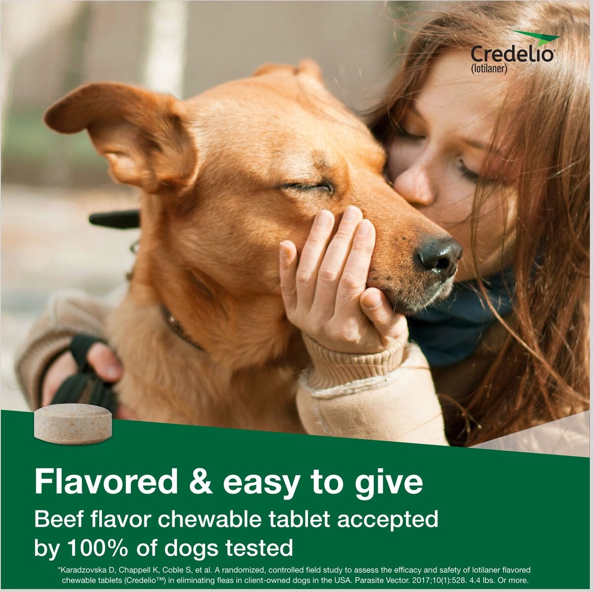 CREDELIO Chewable Tablet for Dogs, 12.1-25 lbs, (Orange Box) - Easy ...