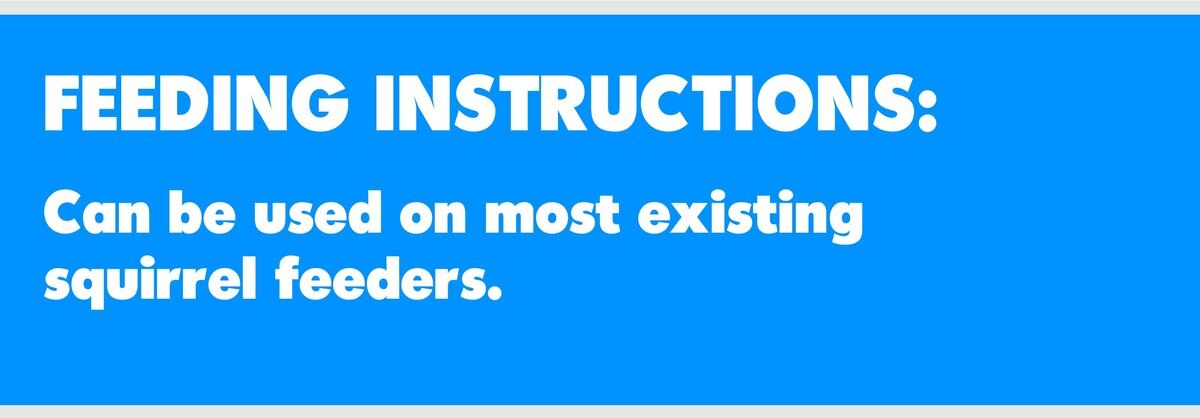 C&S Nut'n Sweet Corn Squirrelog Refill Squirrel Food, 32-oz - Chewy.com