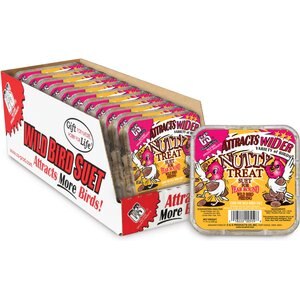 C&S Woodpecker Treat Suet Wild Bird Food, case of 12 - Chewy.com