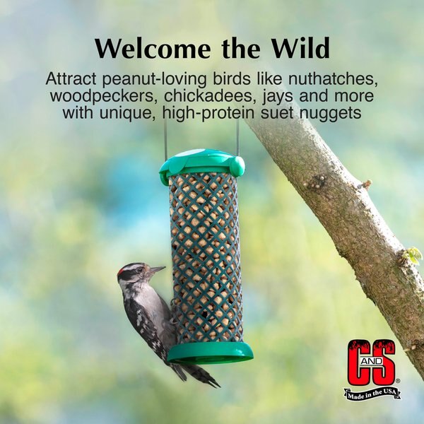 C&S Peanut Suet Nuggets Wild Bird Food, 1.68-lb bag - Chewy.com