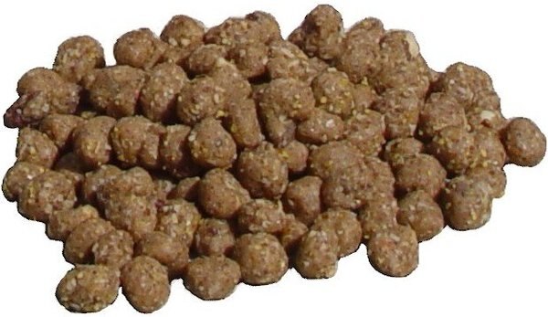 C&S Sunflower Suet Nuggets Wild Bird Food, 8-lb box - Chewy.com