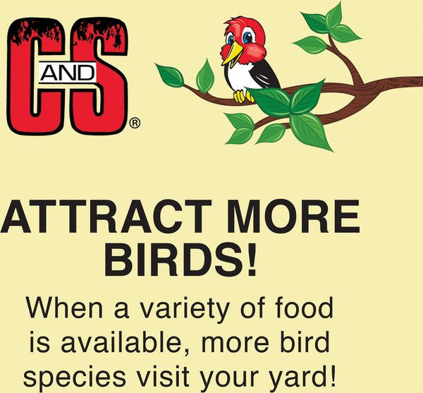 C&S Sunflower Suet Nuggets Wild Bird Food, 8-lb box - Chewy.com