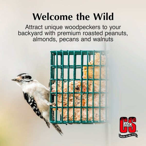 C&S Woodpecker Treat Suet Wild Bird Food, case of 12 - Chewy.com