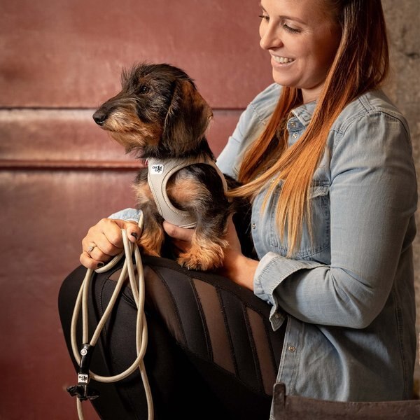 CURLI Stretch Comfort Dog Leash, Black, Medium - Chewy.com