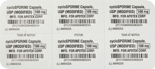 CYCLOSPORINE (Generic) Modified Capsules for Dogs, 100-mg - Easy ...