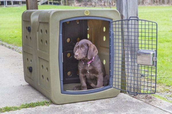 DAKOTA 283 Forever Insert Dakota Guard Antimicrobial Dog Kennel Divider ...