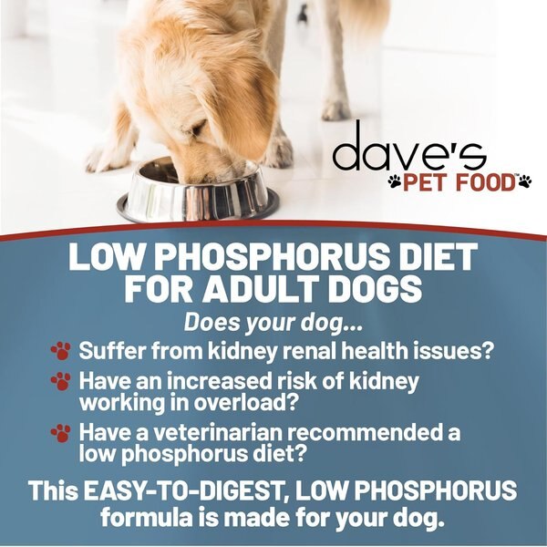 DAVE'S PET FOOD Restricted Phosphorus Chicken Formula Kidney Support ...