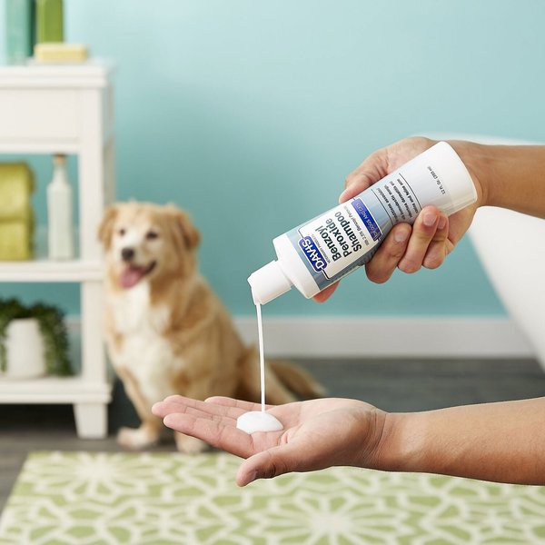 Davis Benzoyl Peroxide Dog & Cat Shampoo (Free Shipping) | Chewy