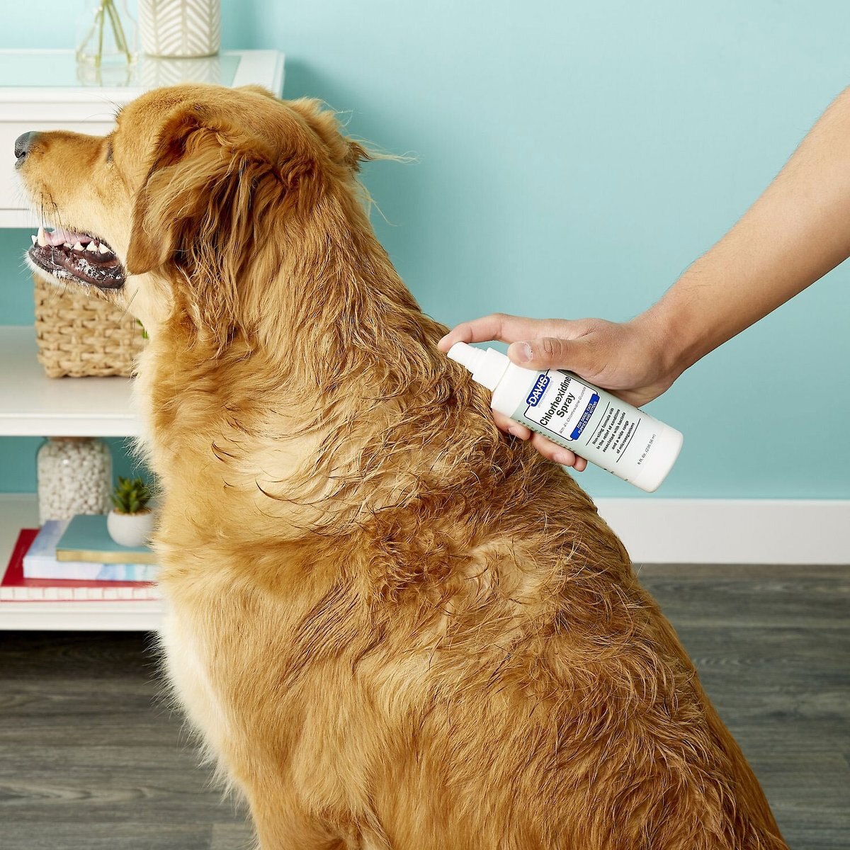 DAVIS Chlorhexidine Dog & Cat Spray, 2 count - Chewy.com