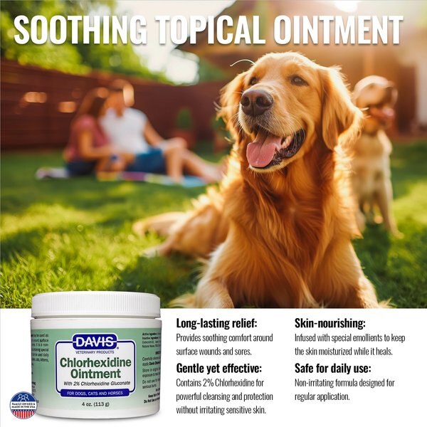 DAVIS Chlorhexidine Skin Care Ointment for Dogs & Cats - Chewy.com