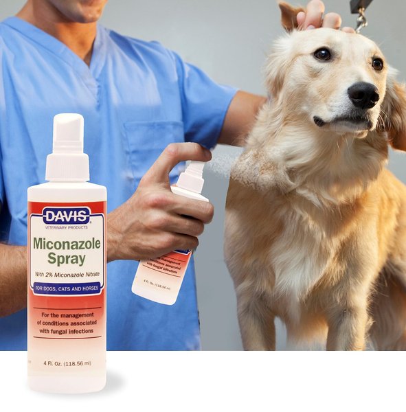 DAVIS Miconazole Dog, Cat & Horse Spray, 4-fl oz bottle - Chewy.com