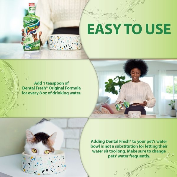 Out of Stock - DENTAL FRESH Original Formula Cat Dental Water Additive ...