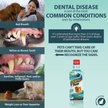 Out of Stock - DENTAL FRESH Original Formula Dog & Cat Dental Water ...