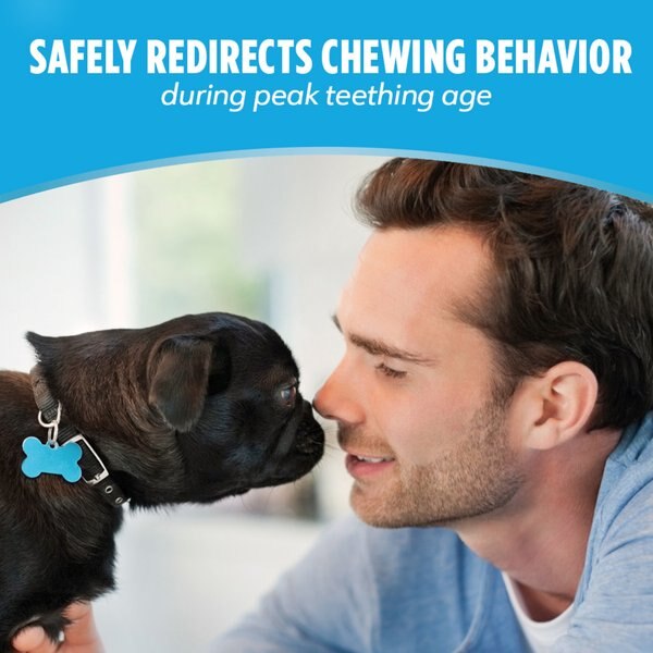 DENTALIFE Chicken Flavored Puppy Teething Dental Chews, 19 count ...