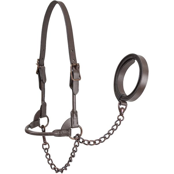DERBY ORIGINALS Premium Round Rolled Leather Cattle Show Halter & Chain ...