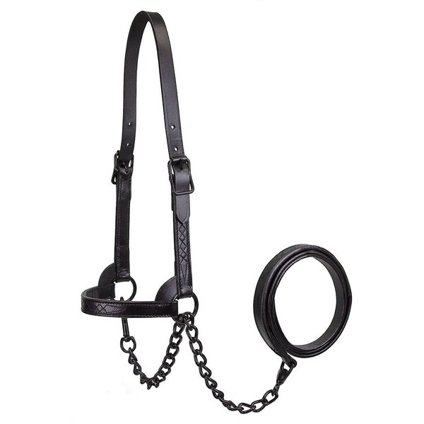 DERBY ORIGINALS Premium Flat Fancy Stitch Leather Cattle Show Halter ...