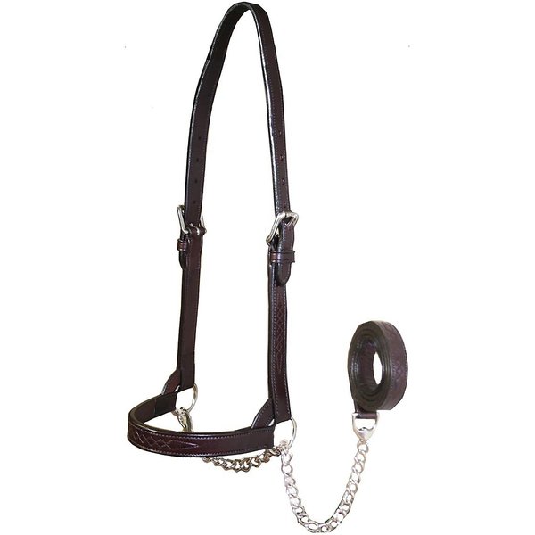DERBY ORIGINALS Premium Flat Fancy Stitch Leather Cattle Show Halter ...