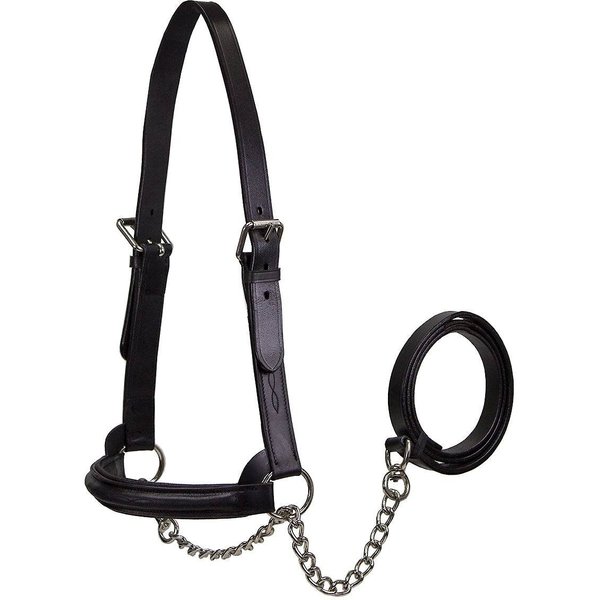 DERBY ORIGINALS Premium Round Rolled Leather Cattle Show Halter & Chain ...