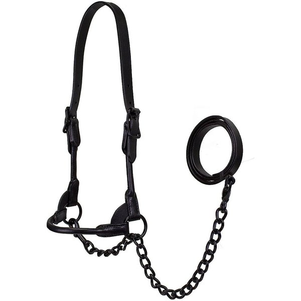 DERBY ORIGINALS Premium Flat Fancy Stitch Leather Cattle Show Halter ...