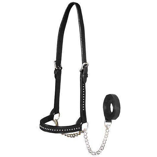 DERBY ORIGINALS Premium Round Rolled Leather Cattle Show Halter & Chain ...
