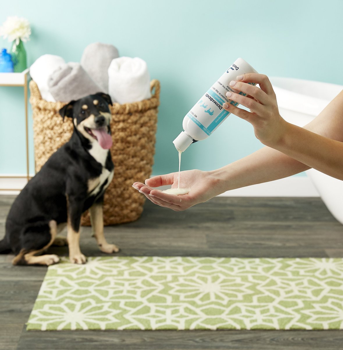 DERMABENSS Shampoo for Dogs, Cats & Horses, 12-fl oz bottle - Chewy.com