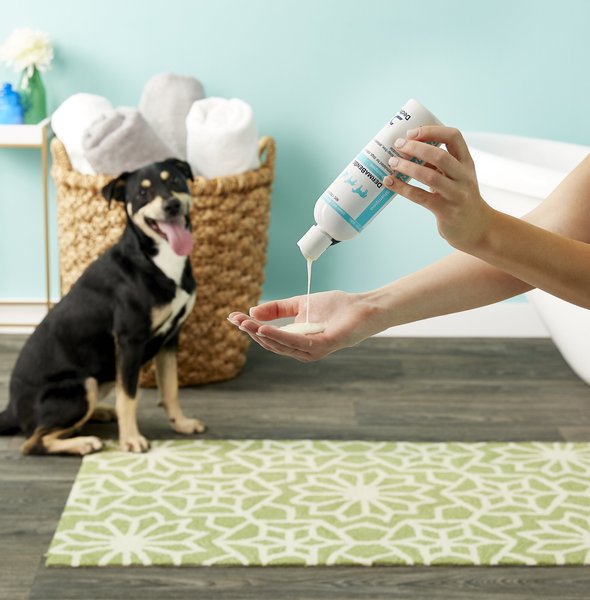 DERMABENSS Shampoo for Dogs, Cats & Horses, 12-fl oz bottle - Chewy.com