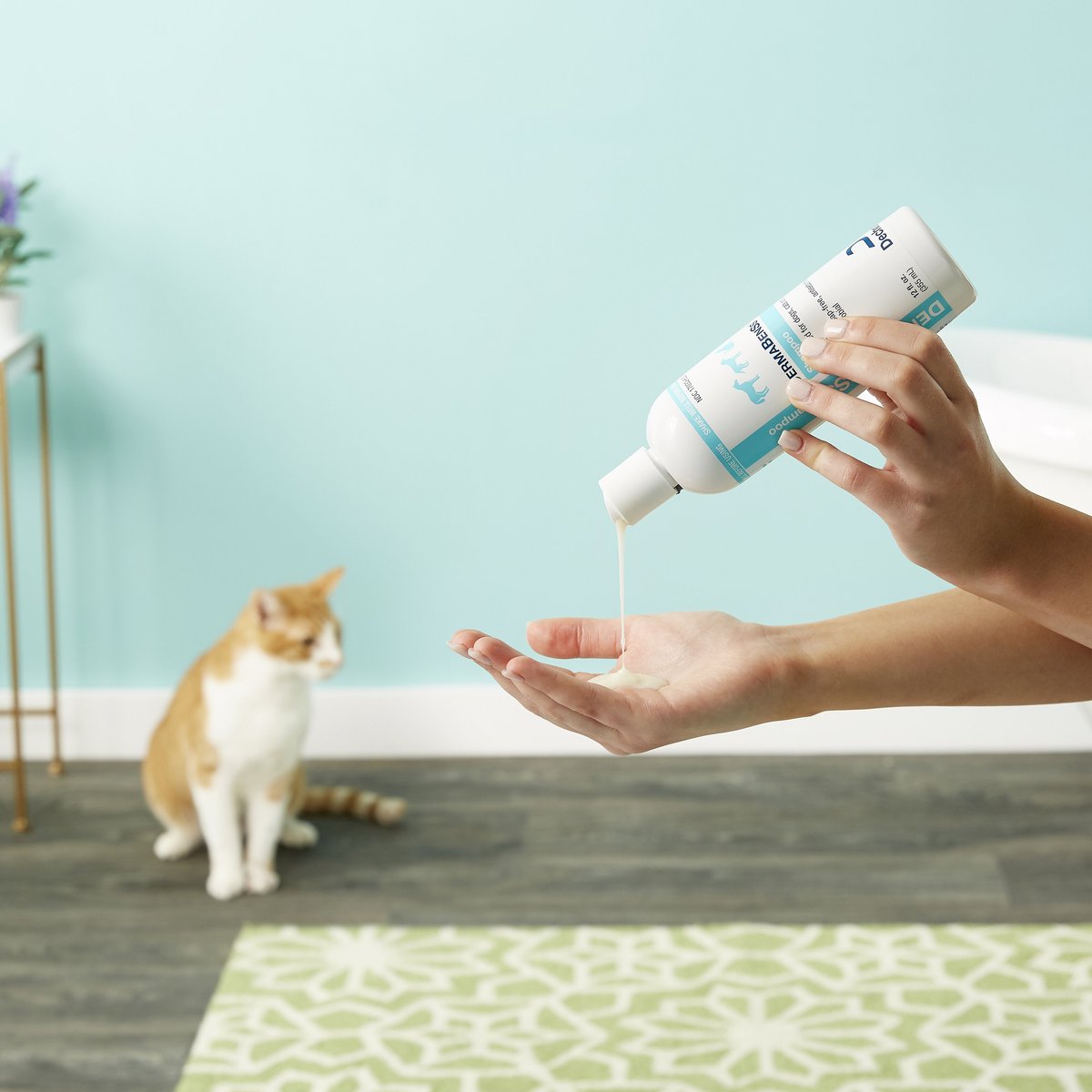 DERMABENSS Shampoo for Dogs, Cats & Horses, 12-fl oz bottle - Chewy.com