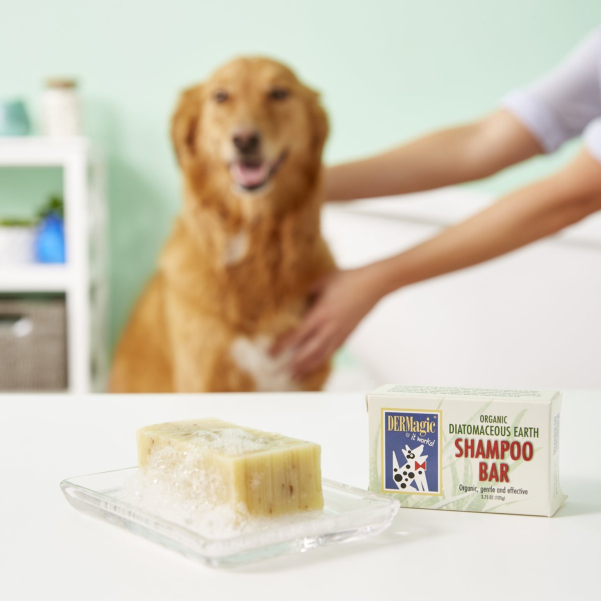 DERMAGIC Diatomaceous Earth Dog Shampoo Bar, 3.75-fl oz - Chewy.com