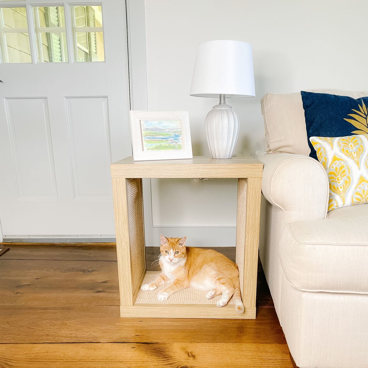 DESIGNER PET PRODUCTS Bailey Cat Scratcher End Table, Driftwood - Chewy.com