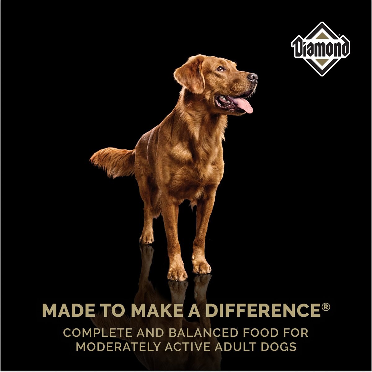 DIAMOND Maintenance Formula Adult Dry Dog Food, 40-lb bag, bundle of 2 ...