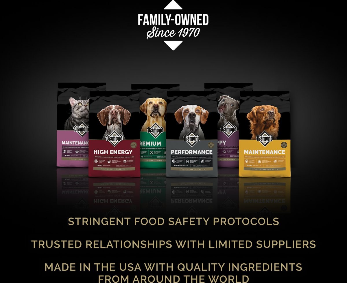 DIAMOND Maintenance Formula Adult Dry Dog Food, 40-lb bag, bundle of 2 ...