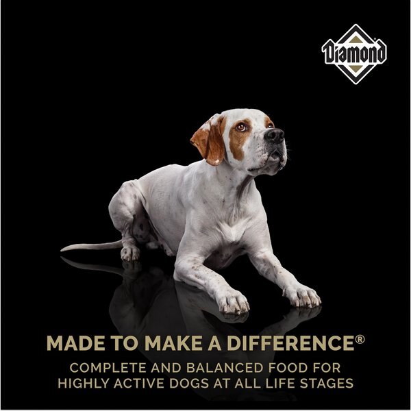 DIAMOND Performance Formula All Lifestages Dry Dog Food, 40-lb bag ...