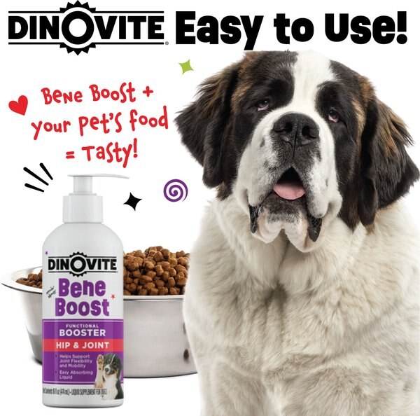 DINOVITE BeneBoost Hip & Joint Glucosamine Joint Mobility Liquid ...