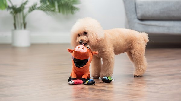 DISNEY CLASSICS The Lion King Pumba & Bugs Squeaky Plush Dog Toy, 9-in ...