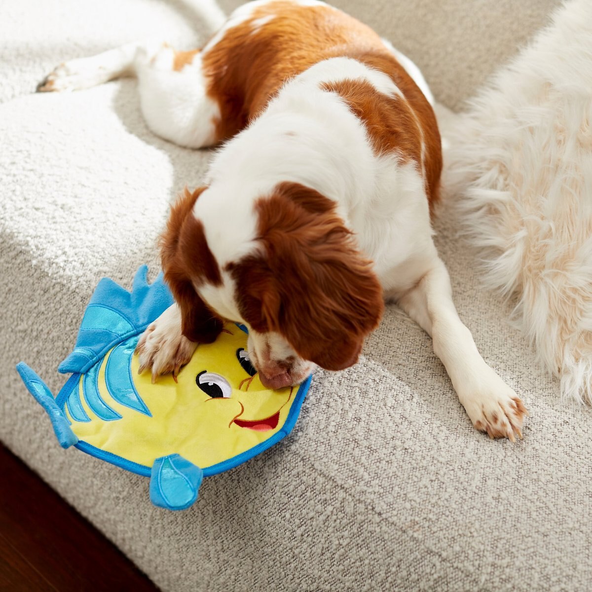 DISNEY Flounder Flat Plush Squeaky Dog Toy - Chewy.com