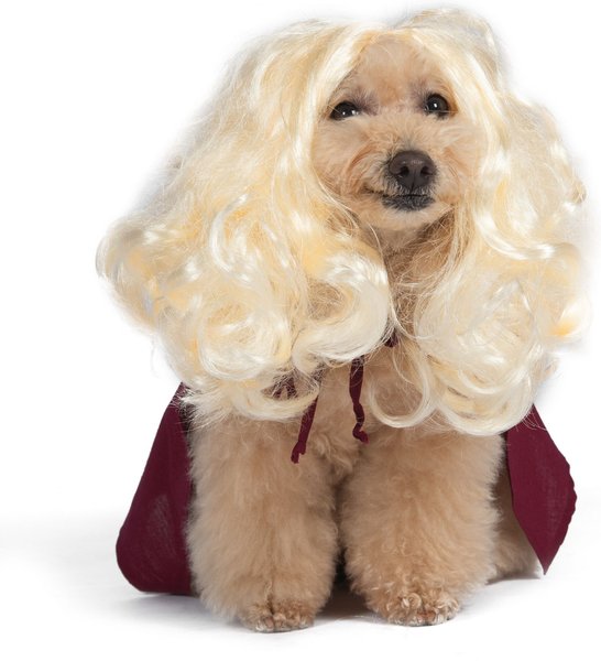 DISNEY Hocus Pocus Halloween Sarah Sanderson Cape & Pet Wig Dog Costume ...
