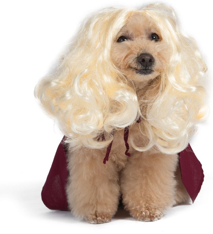 Large Dog Costumes - Page 3 (Free Shipping) | Chewy