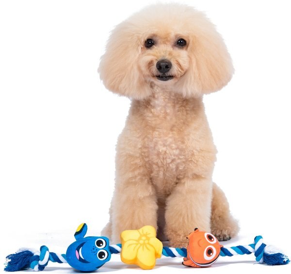 DISNEY PIXAR Finding Nemo Nemo & Dory Squeaky Plush Dog Toy, 15-in ...