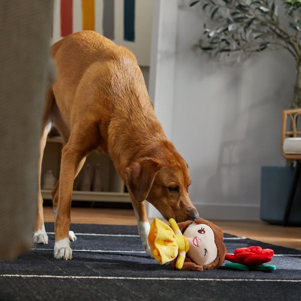 Discontinued - DISNEY Princess Belle Plush Squeaky Dog Toy - Chewy.com