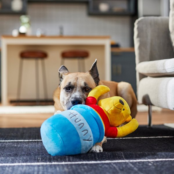 DISNEY Winnie The Pooh Plush Squeaky Dog Toy - Chewy.com