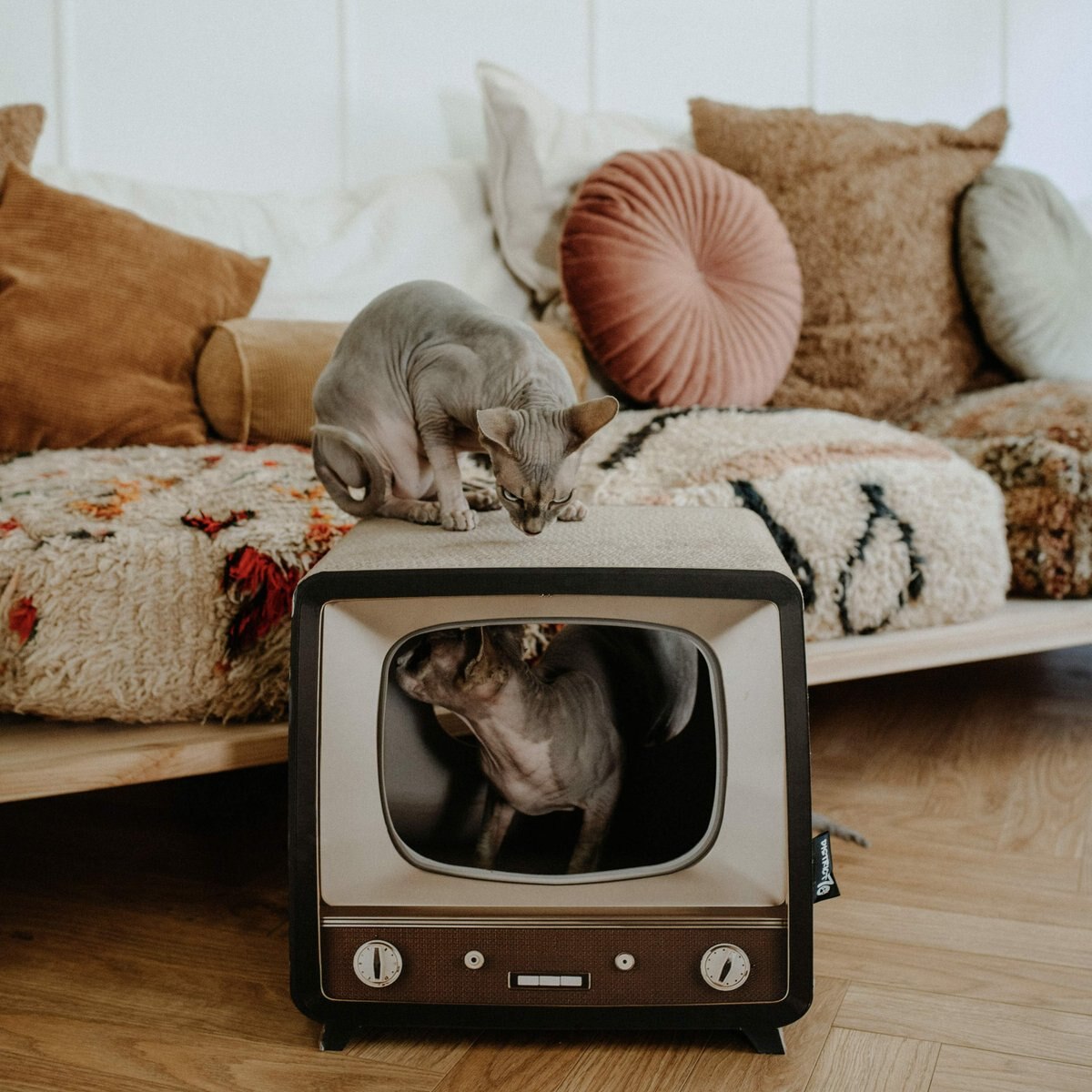 DISTRICT 70 TELLY Retro Design Cat Scratcher, Brown - Chewy.com