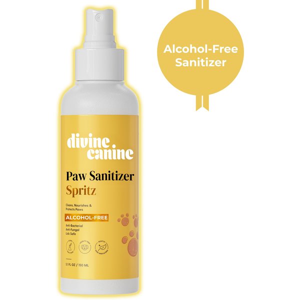 DANDYLION Clean Paws Dog Foaming Cleanser, 5-fl oz bottle - Chewy.com