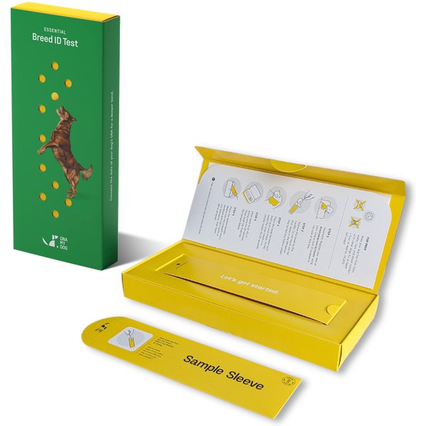 EMBARK Breed Identification Dog DNA Test Kit - Chewy.com