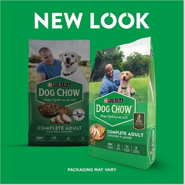 DOG CHOW Complete Adult with Real Chicken Dry Dog Food, 4.4-lb bag ...