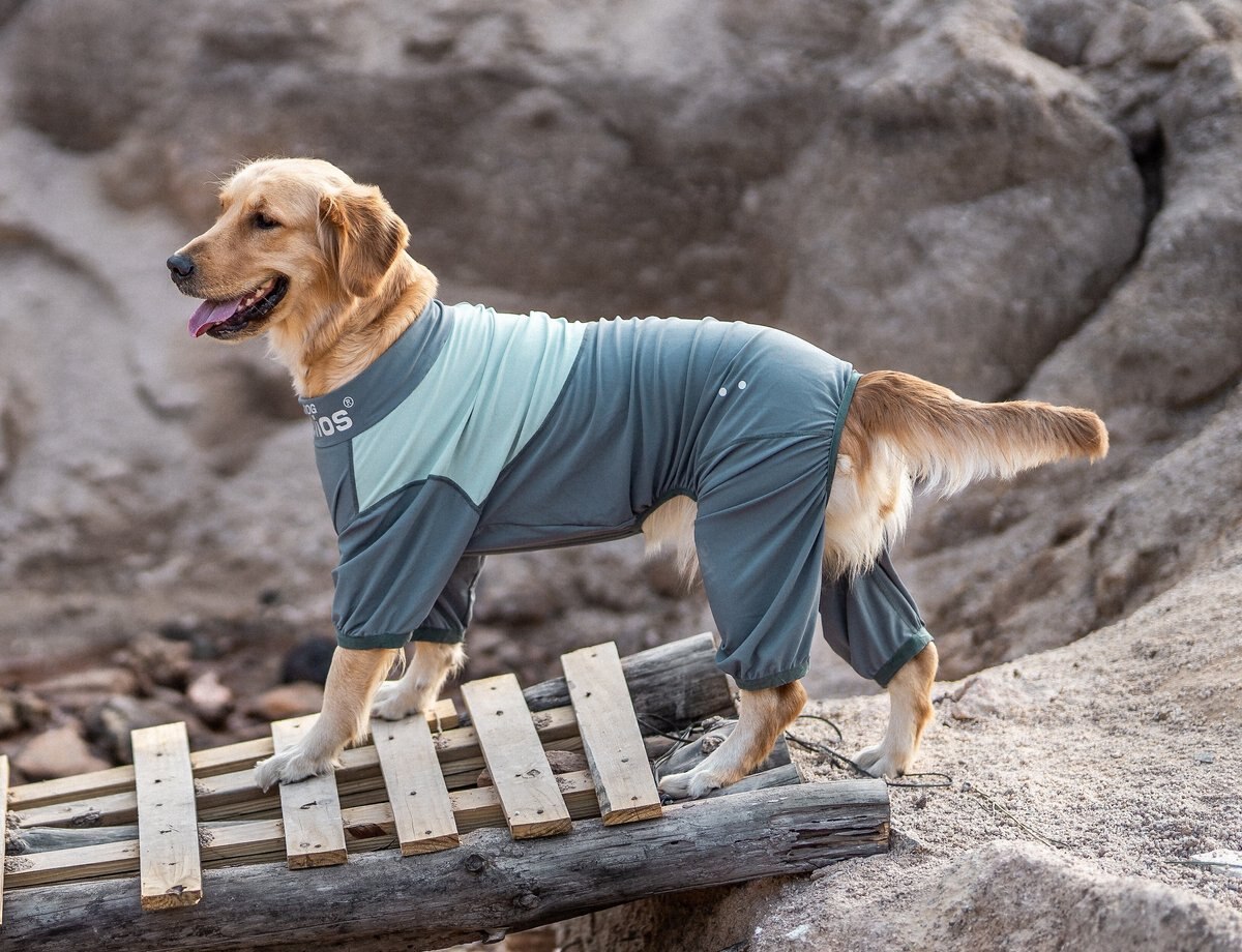 DOG HELIOS Tail Runner Lightweight 4-Way Stretch Performance Dog ...