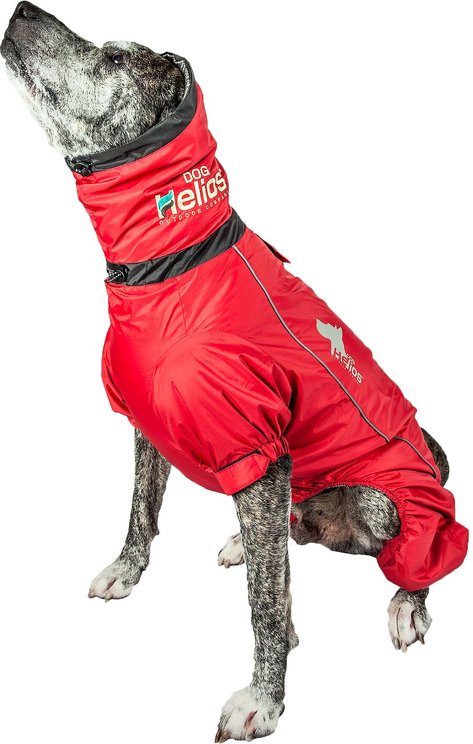 Dog Coats: Jackets, Winter Coats & Raincoats (Free Shipping) | Chewy