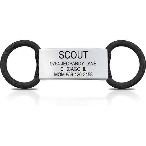 DOG ID Personalized Cat ID Tag, Slate, Small - Chewy.com