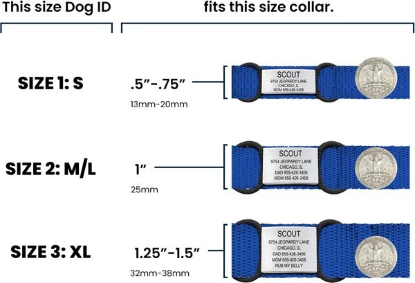 DOG ID Personalized Dog ID Tag, Slate, Medium/Large - Chewy.com