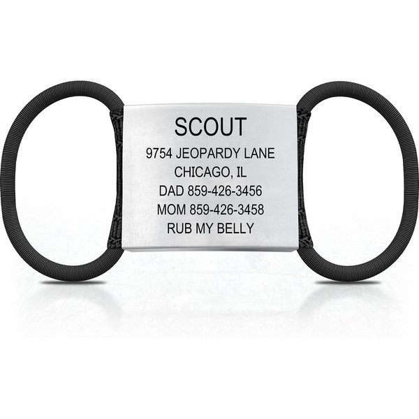 DOG ID Personalized Dog ID Tag, Slate, X-Large - Chewy.com