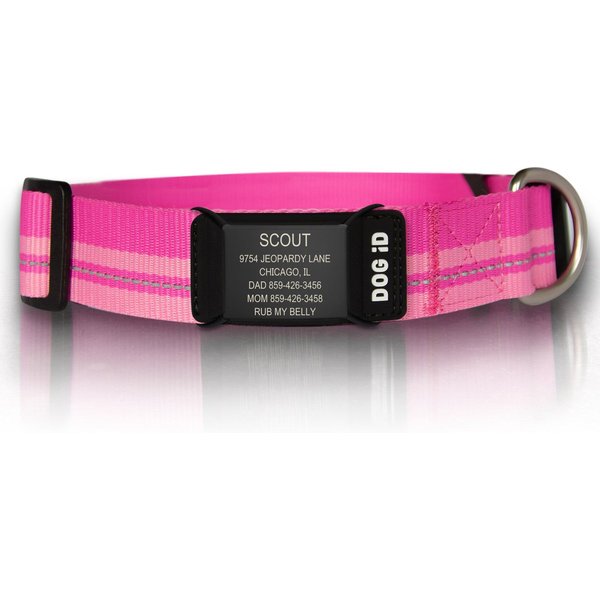DOG ID The Rock Solid Personalized ID Tag Dog Collar, Slate, Pink, X ...